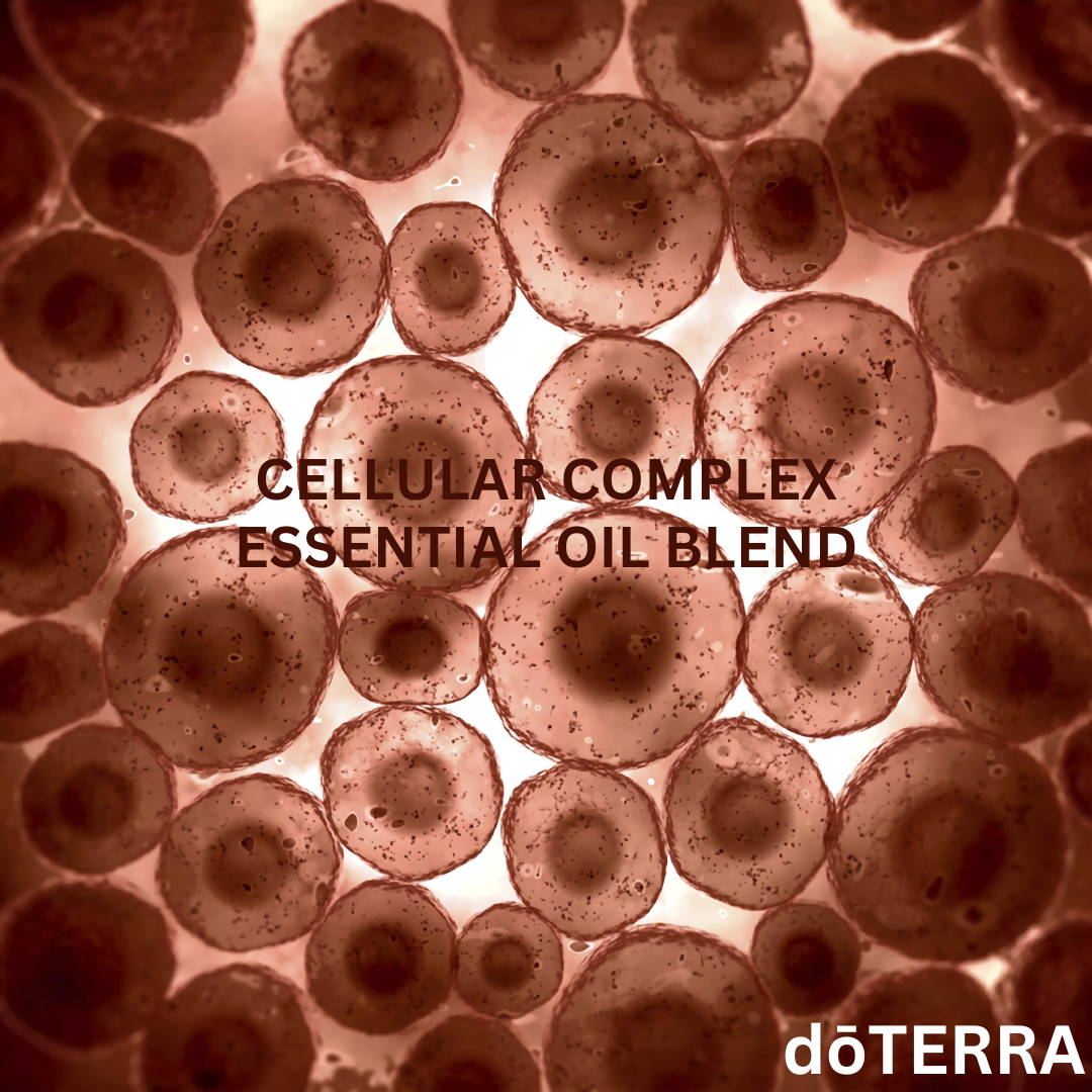Cellular Complex Essential Oil Blend - 30 ml | Aromatherapy Essential ...