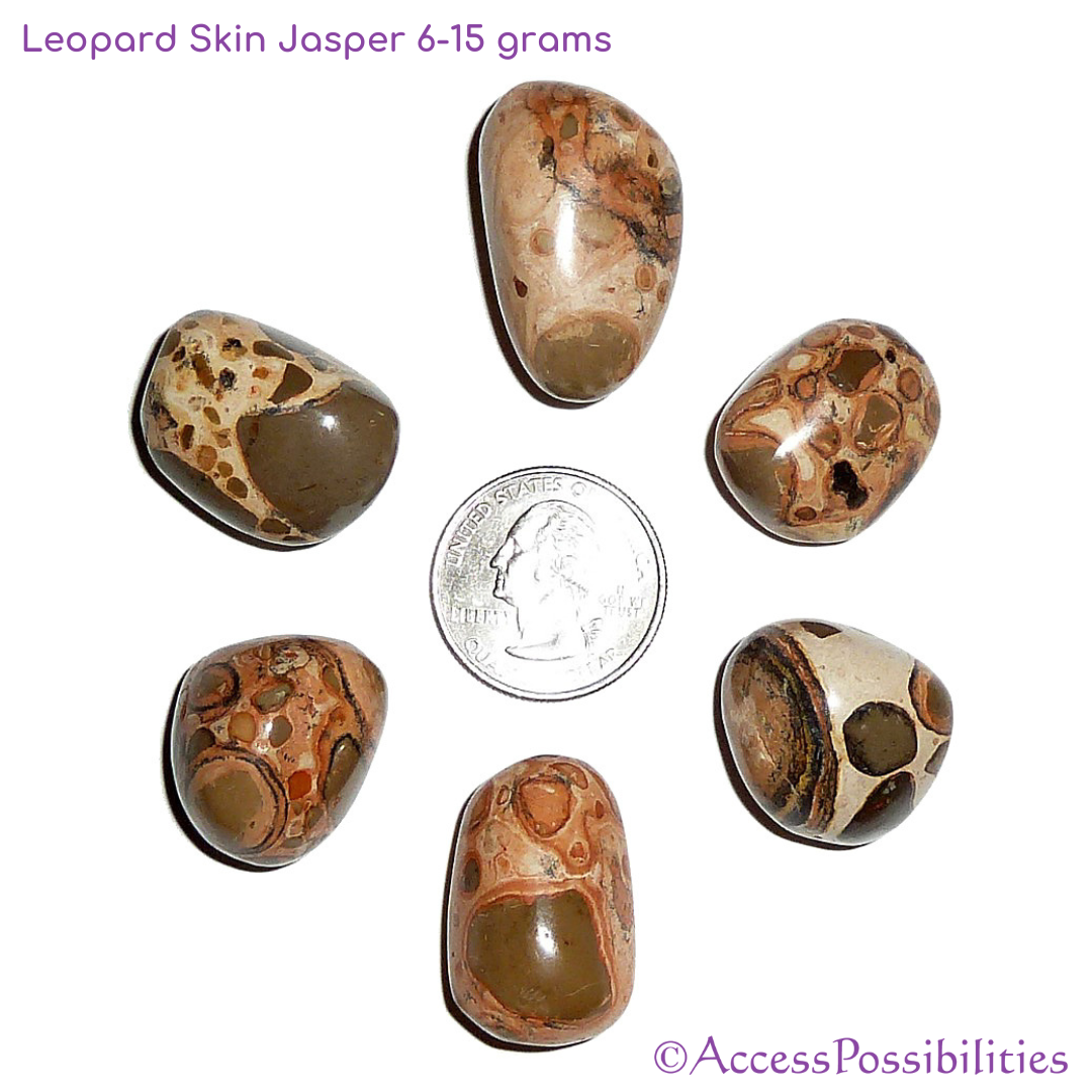 Leopard Skin Jasper Tumbled Stones From Peru AKA Leopard Stone – Access ...