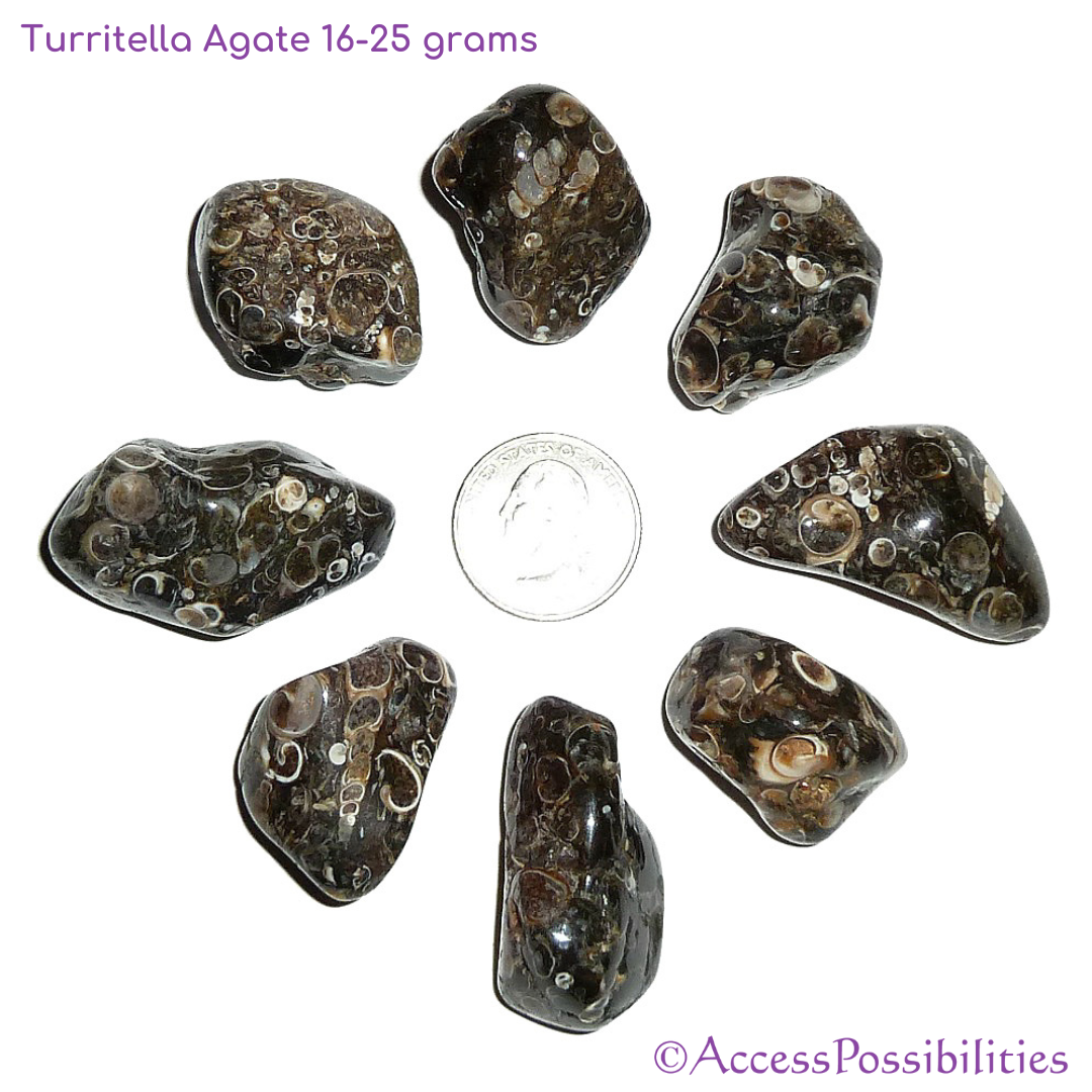 Turritella Agate Tumbled Stones From Africa AKA Turritella Fossil ...